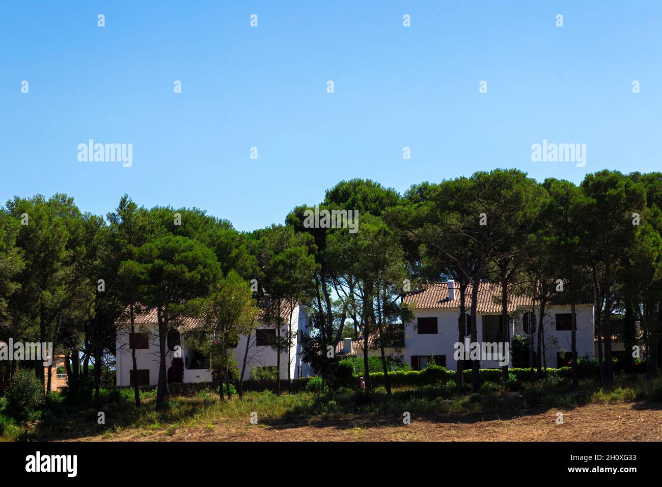 tourist houses on the costa brava among trees next to a golf course in ...