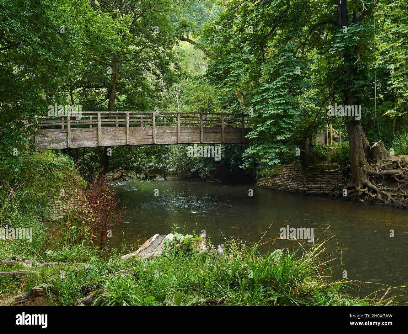 A small wooden footbridge across a river, surrounded and swallowed by ...
