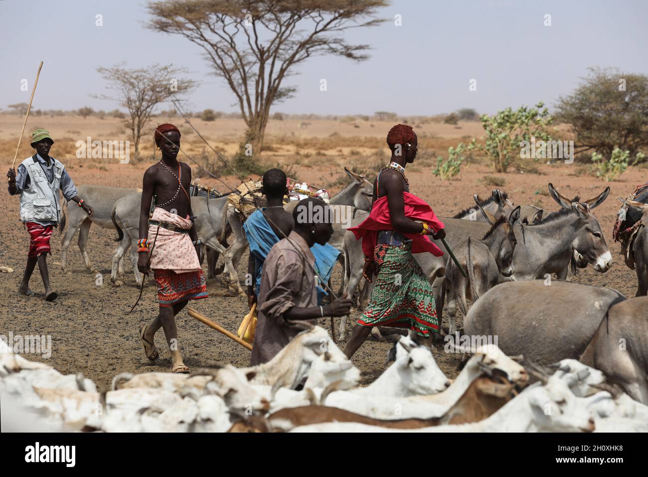 Rendille High Resolution Stock Photography and Images - Alamy