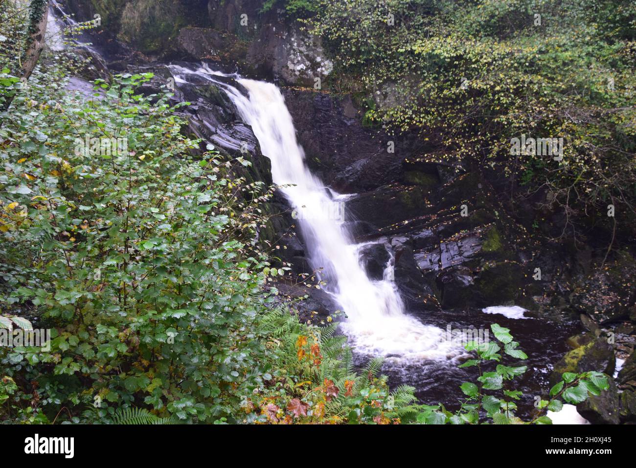 Carving it's pathway through a limestone gorge, the River Twiss ...