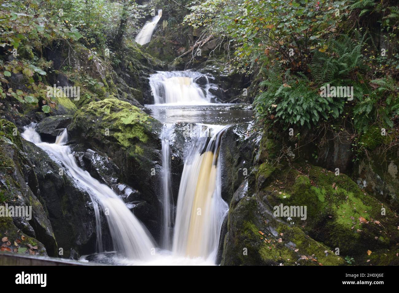 Carving it's pathway through a limestone gorge, the River Twiss ...