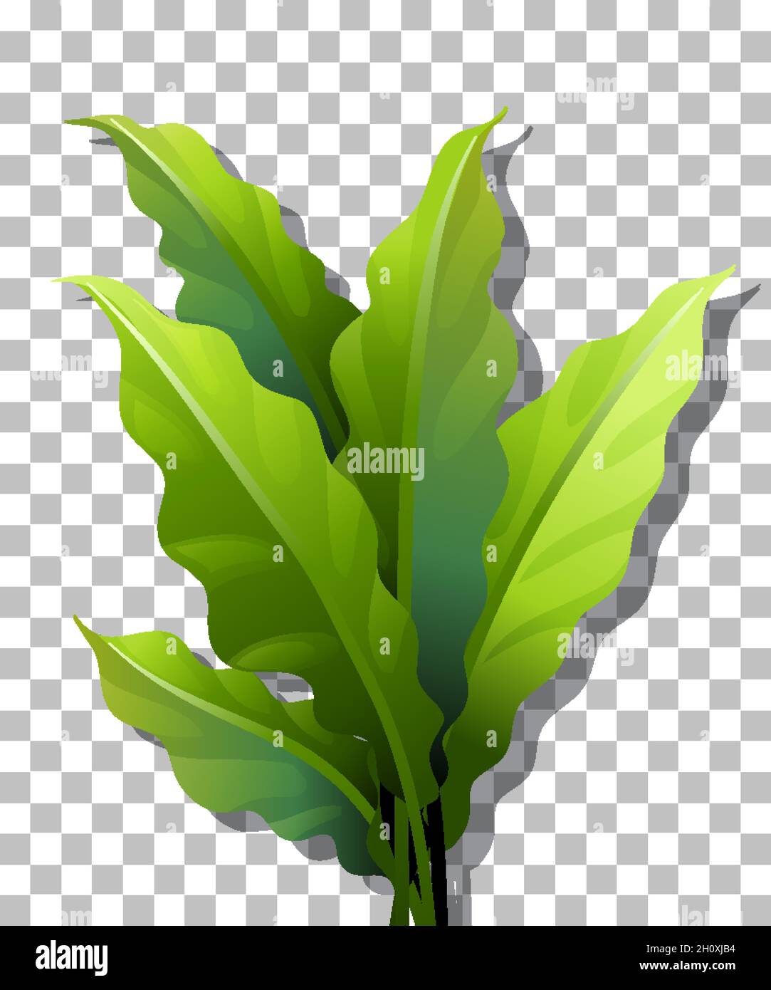 Tropical plant on transparent background illustration Stock Vector ...