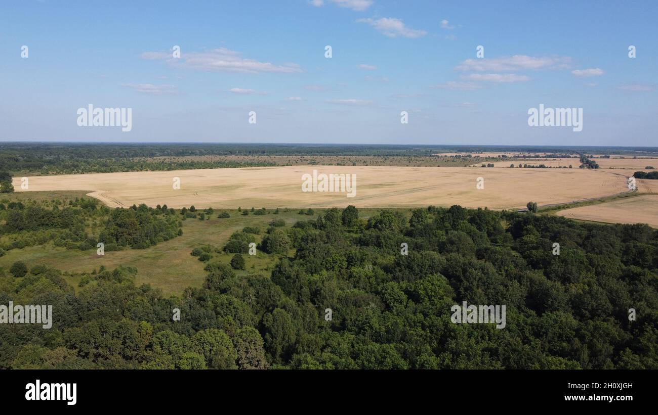 Green deciduous forest next to a farm field. Landscape from a bird's ...