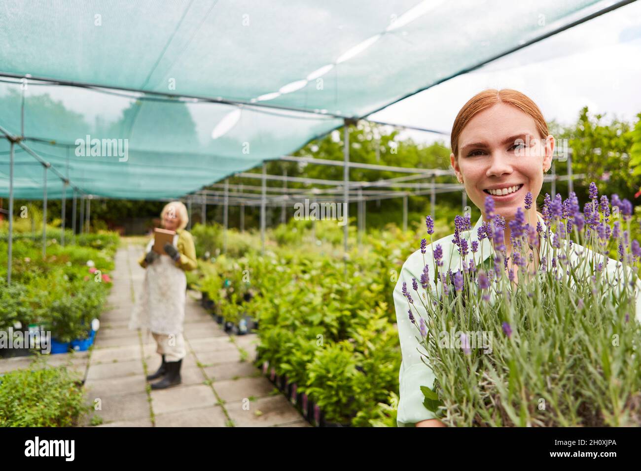 Young woman as a gardener apprentice in the greenhouse of the nursery ...