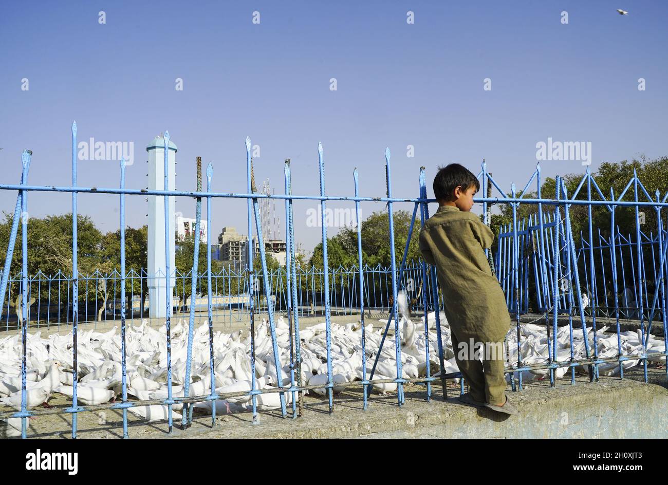 Hazrat Ali High Resolution Stock Photography and Images - Alamy