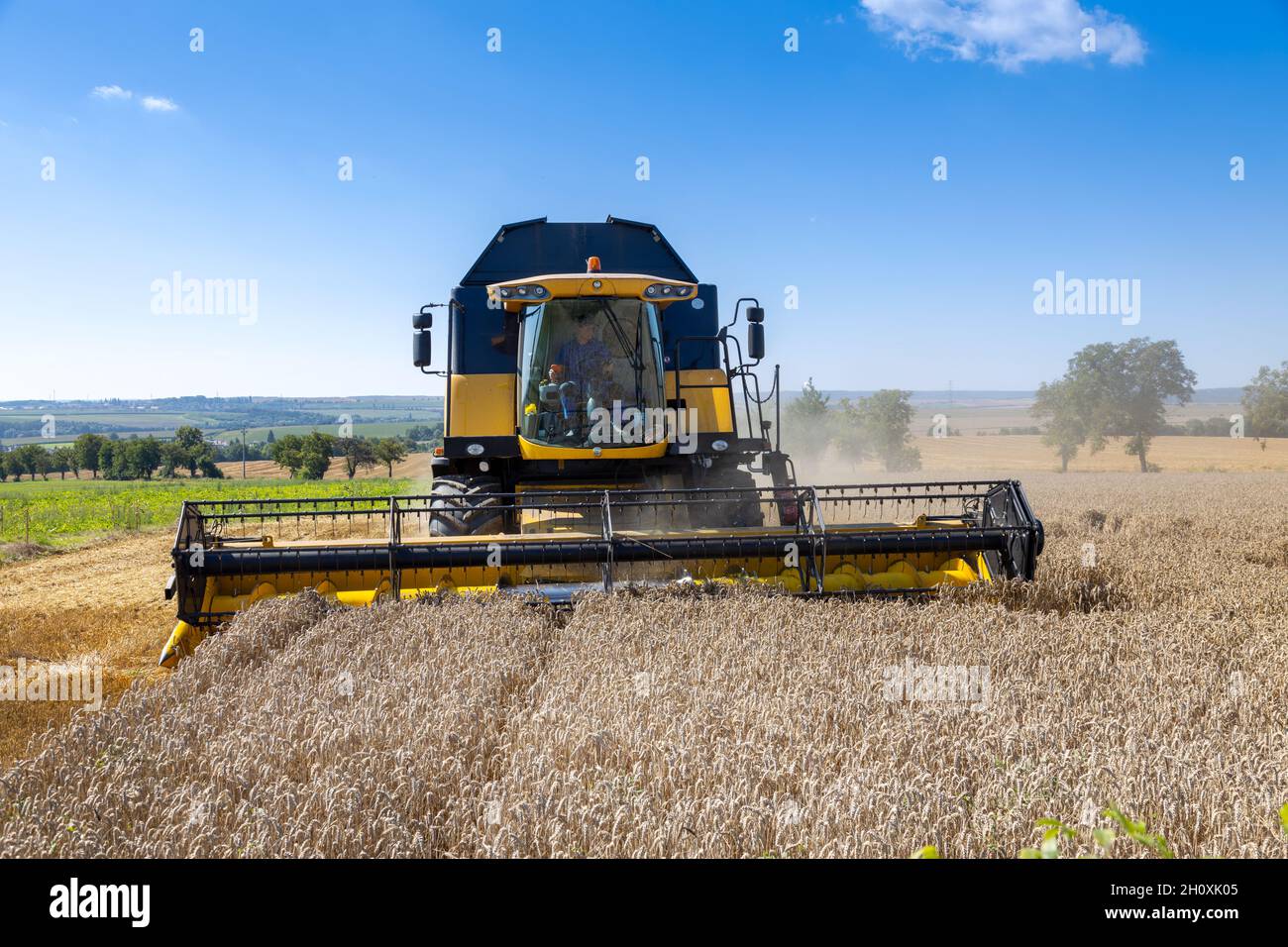 Combine harvester on the wheat field during autumn harvest Stock Photo ...