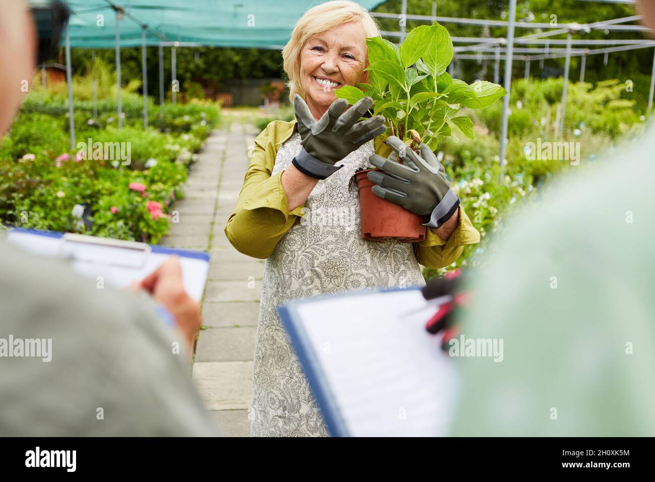 Gardener with a plant during quality control with checklist in the ...