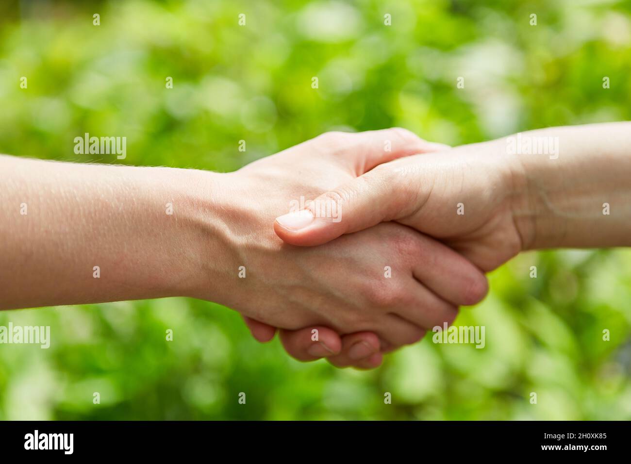 Two people shaking hands or shaking hands in the green nature Stock ...