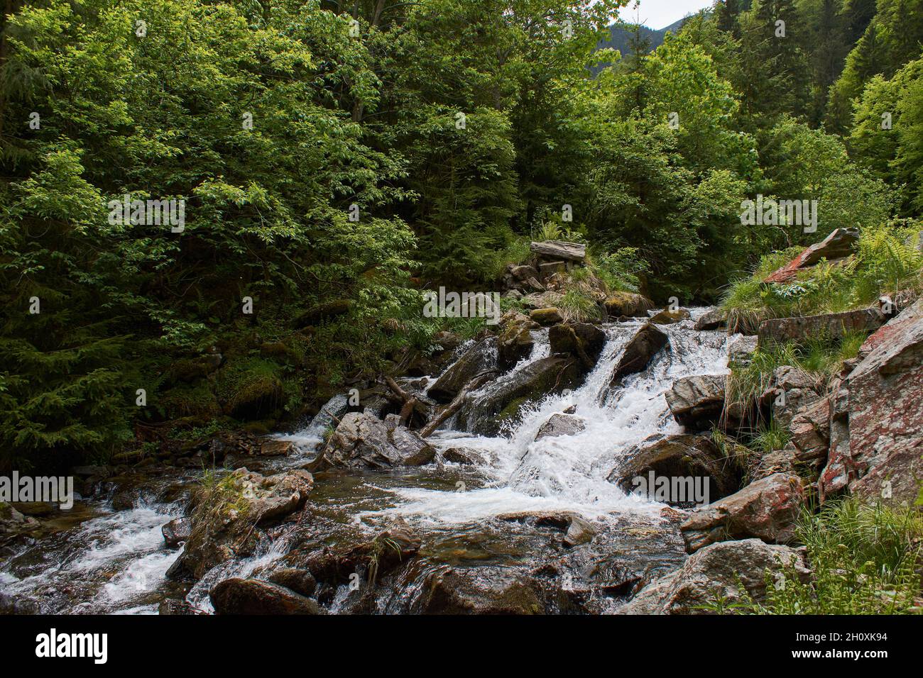Jiet hi-res stock photography and images - Alamy