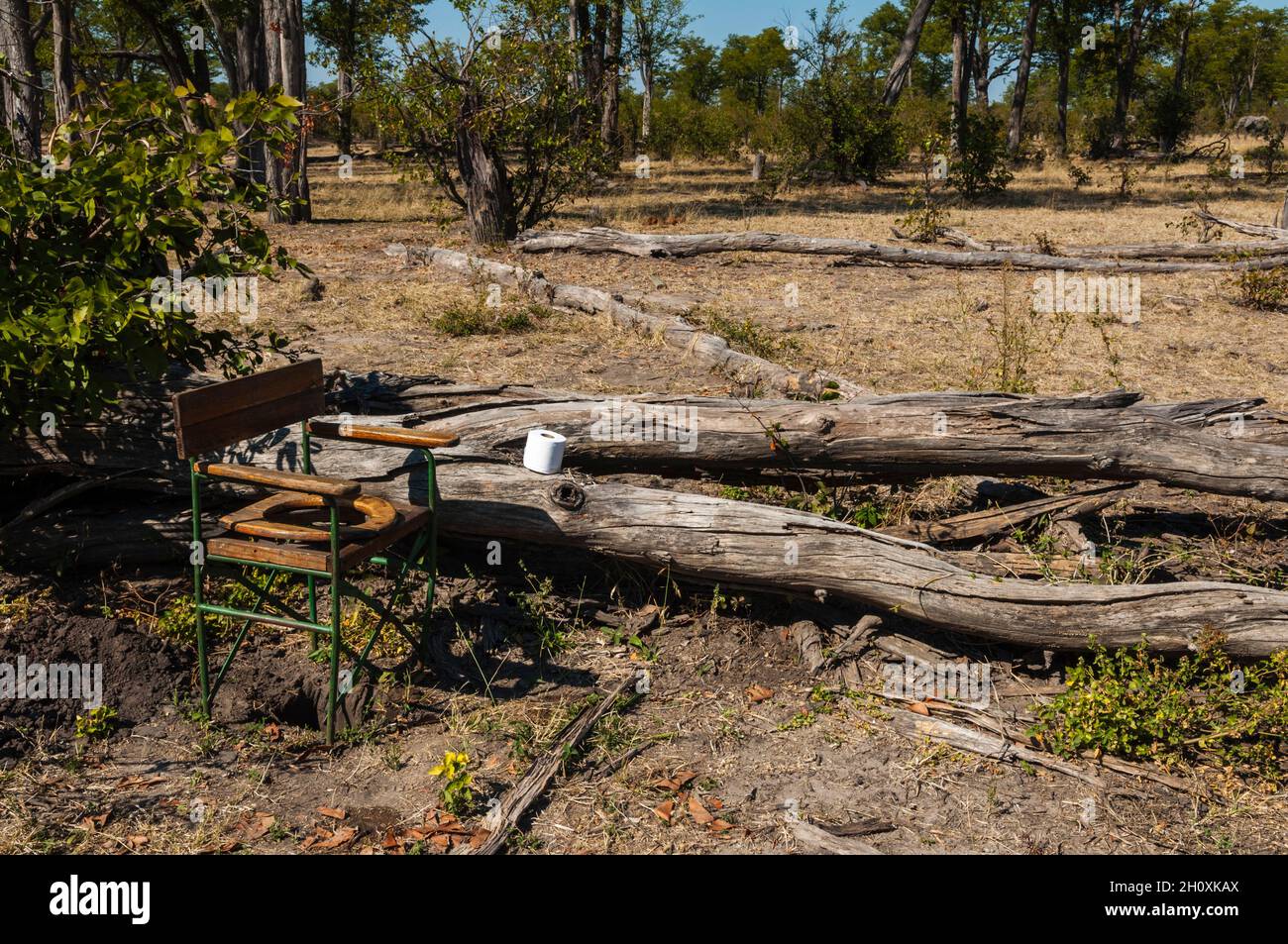An original, modest, camping bush toilet. Savute Channel, Linyanti ...