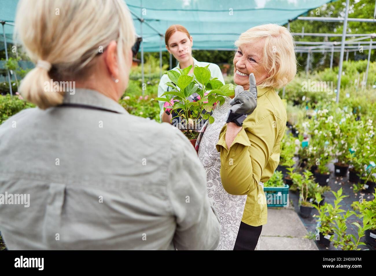 Positive colleagues working together hi-res stock photography and ...