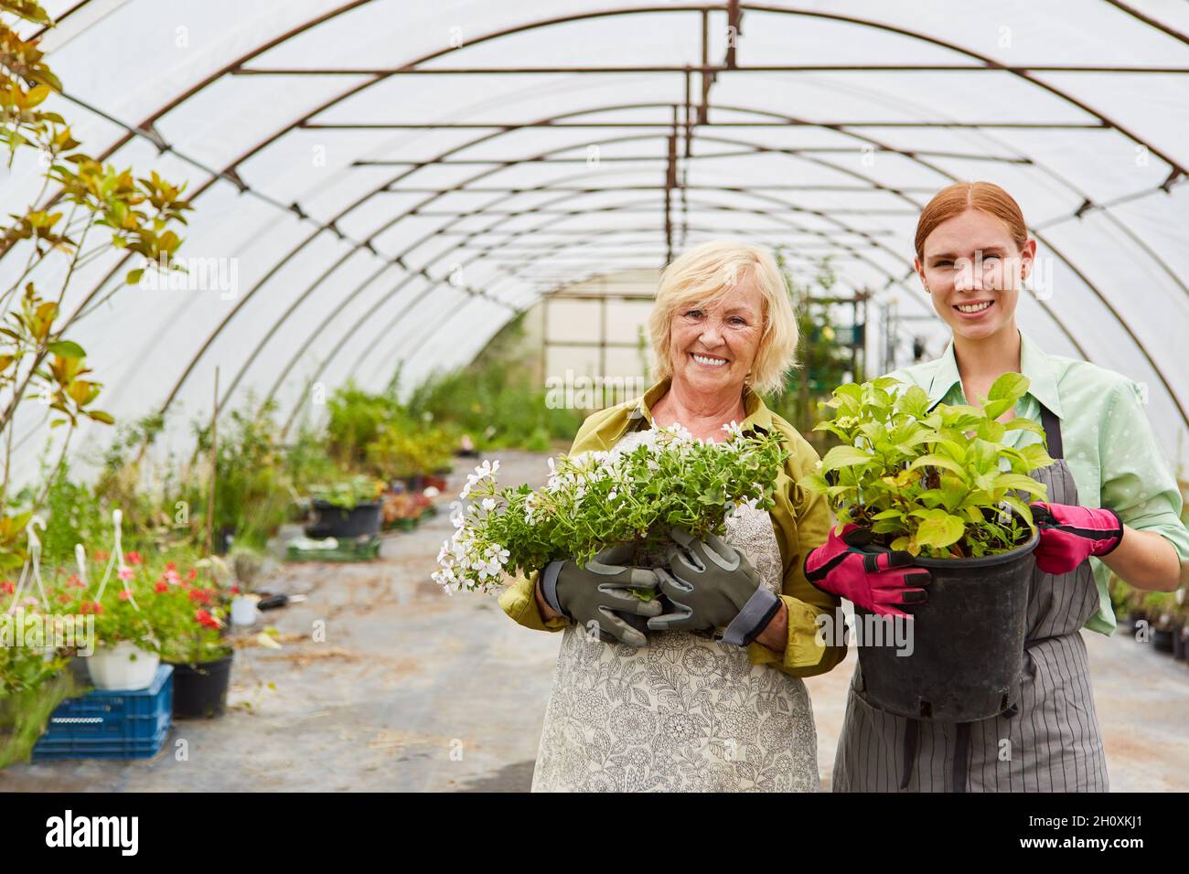 Gardener team with trainee with a flower order in the greenhouse of the ...