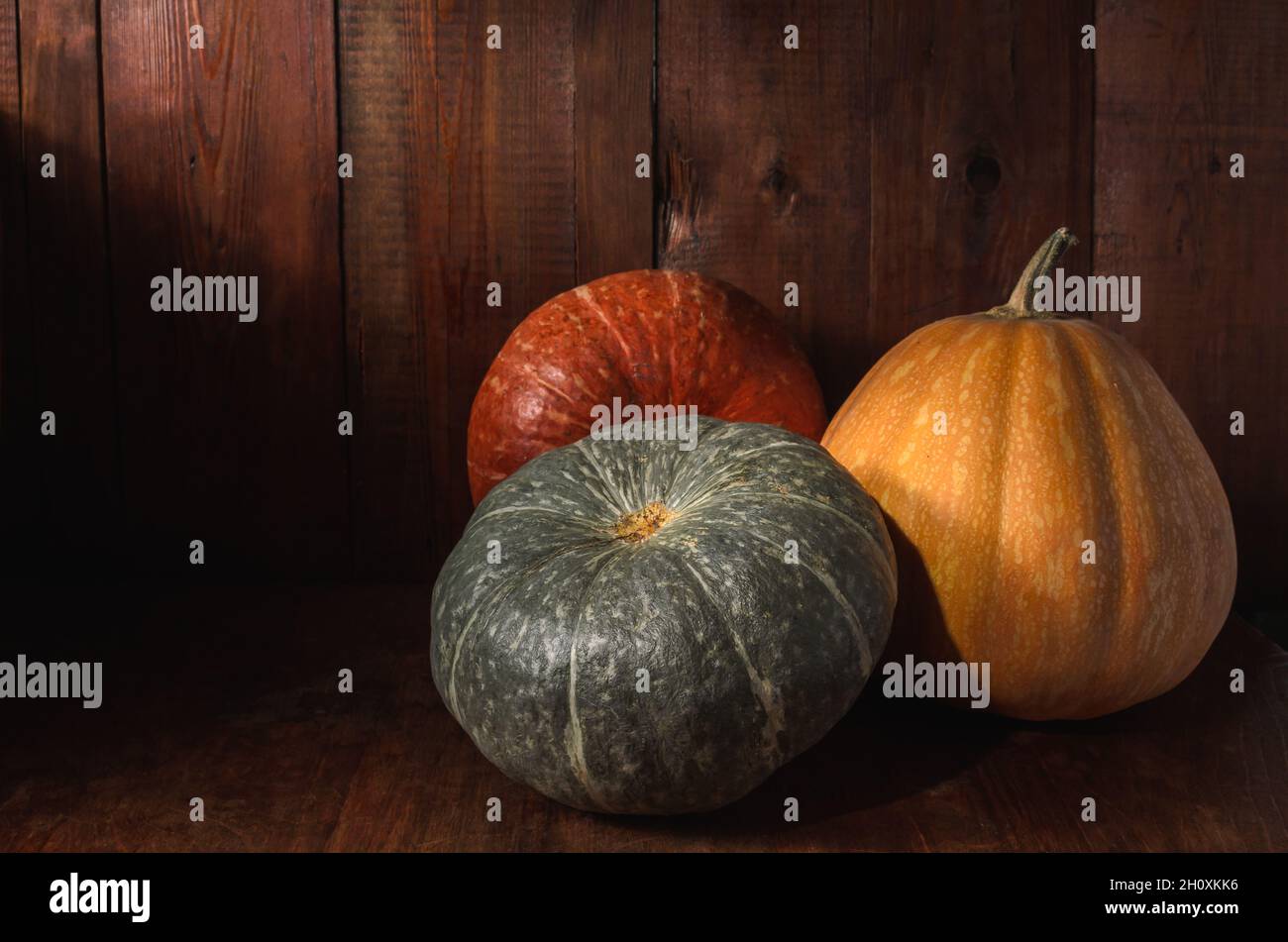 Group of pumpkins hi-res stock photography and images - Alamy