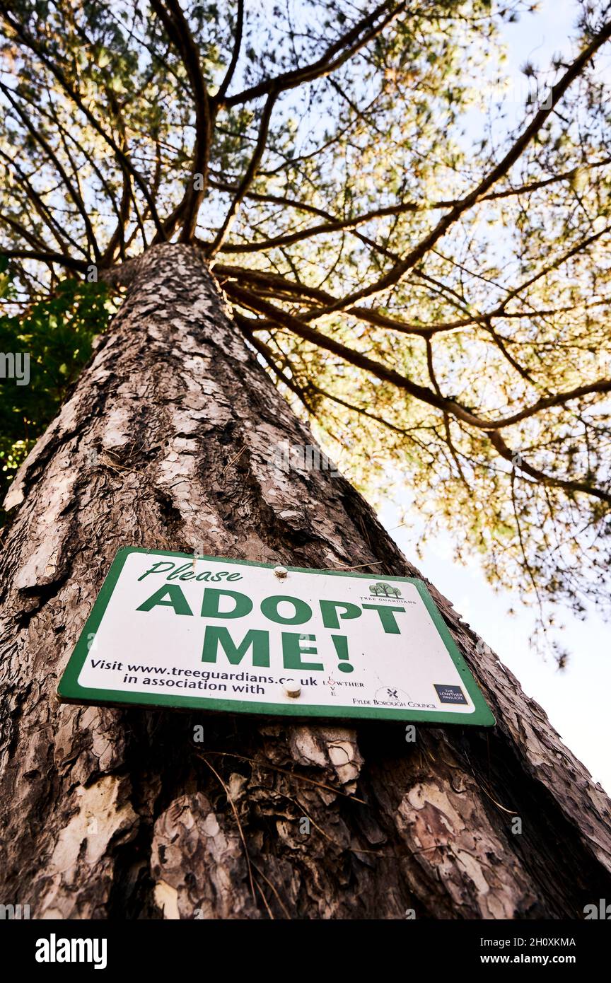 Adopt a tree hi-res stock photography and images - Alamy