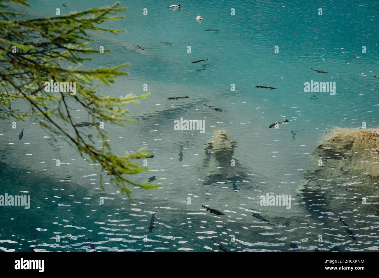 Lake with azure water Stock Photo - Alamy