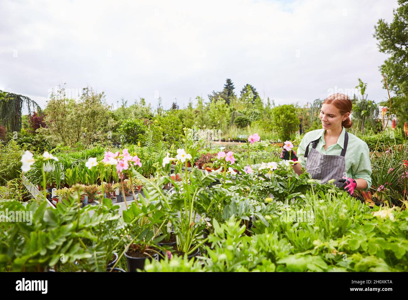 Caring for flowers hi-res stock photography and images - Alamy
