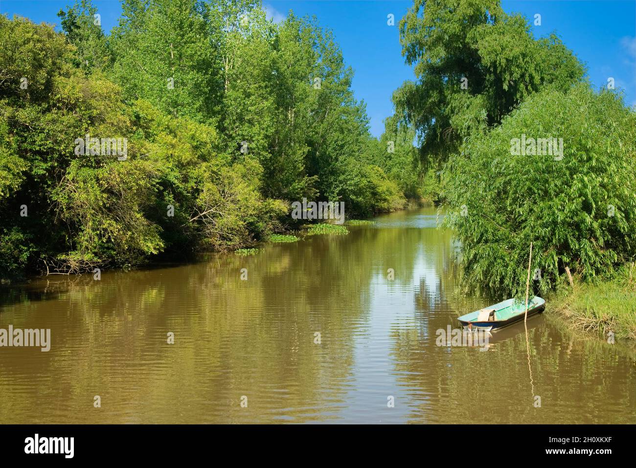 Delta del parana hi-res stock photography and images - Alamy