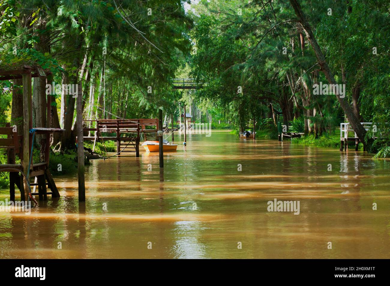 Tigre delta argentina hi-res stock photography and images - Alamy