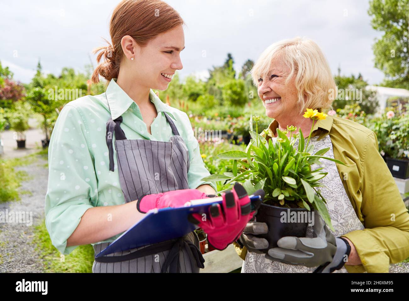 Young woman as a gardener trainee discusses new plant breeding with the ...