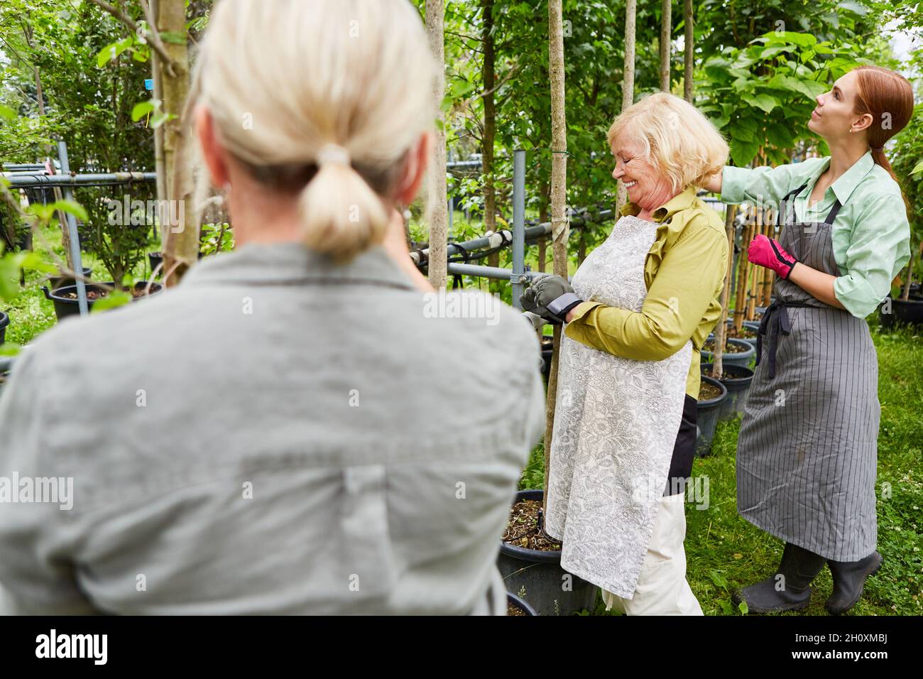 Tree maintenance team hi-res stock photography and images - Alamy