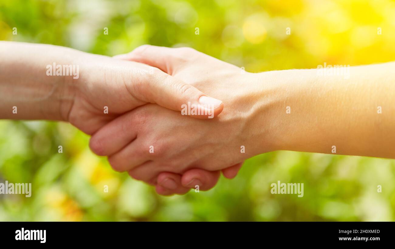 Hands give handshake in front of green nature as a green climate ...