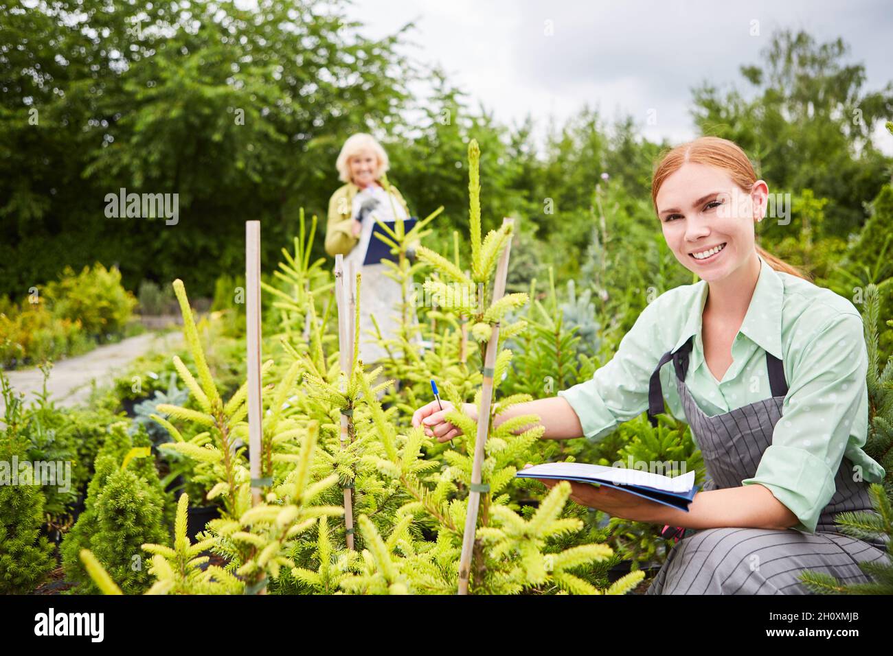 Gardener trainee with checklist while checking tree growth in the ...