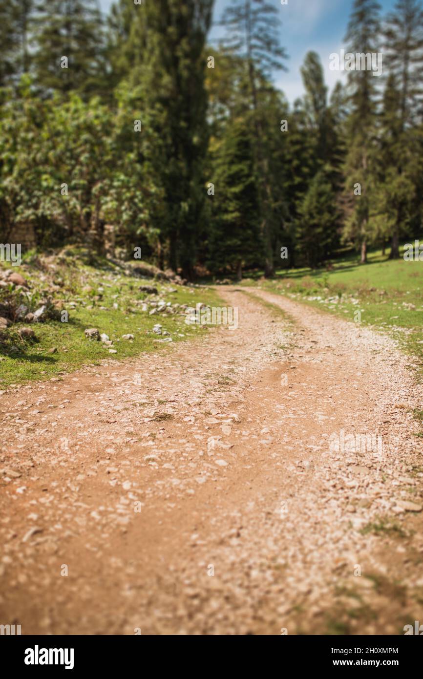 Mountain road and trails in the mountains of Georgia - a pleasant walk ...