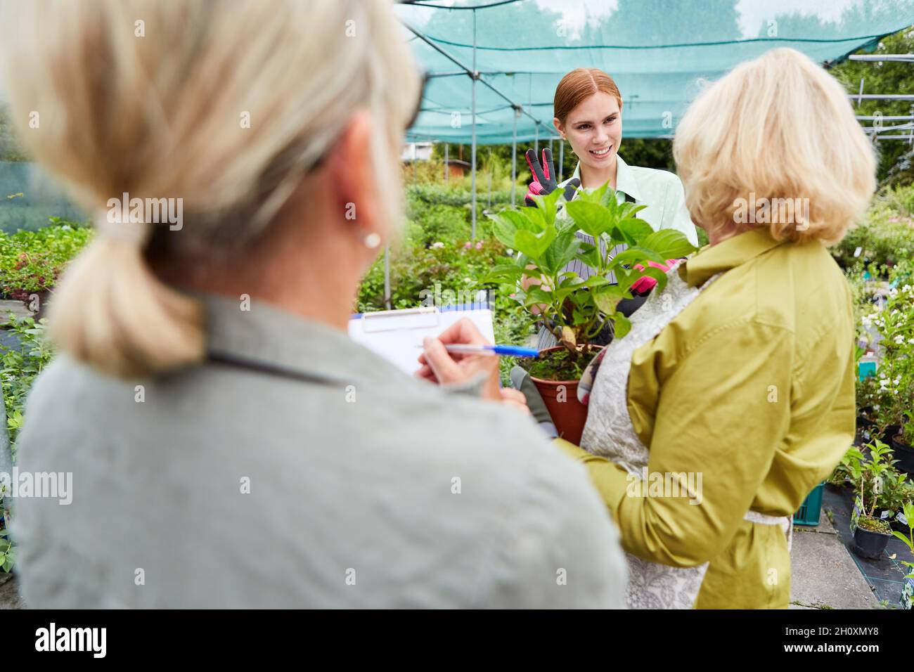 Gardener team in horticultural greenhouse with inventory checklist at ...