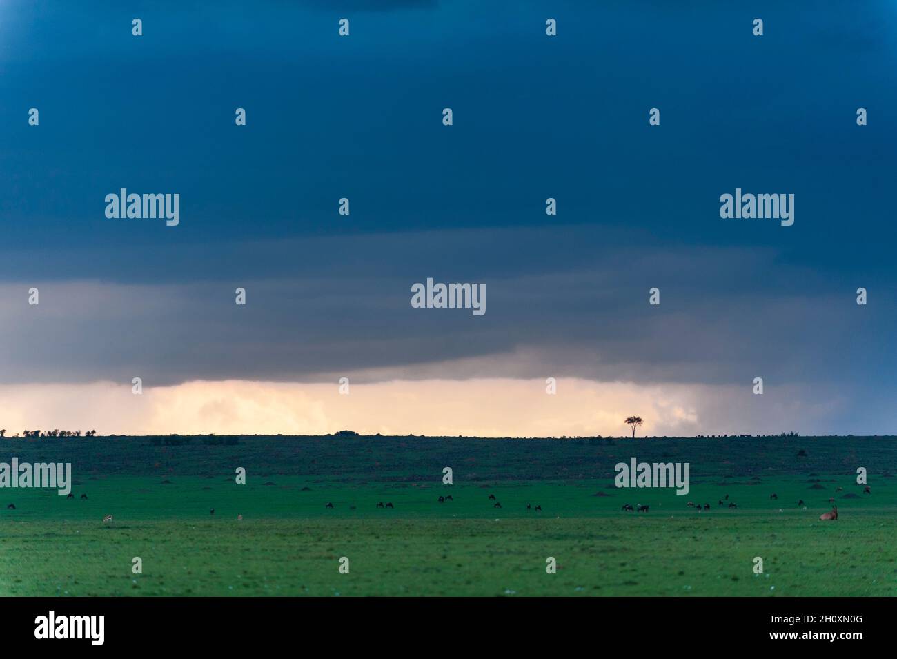 Rainstorm on the plain hi-res stock photography and images - Alamy