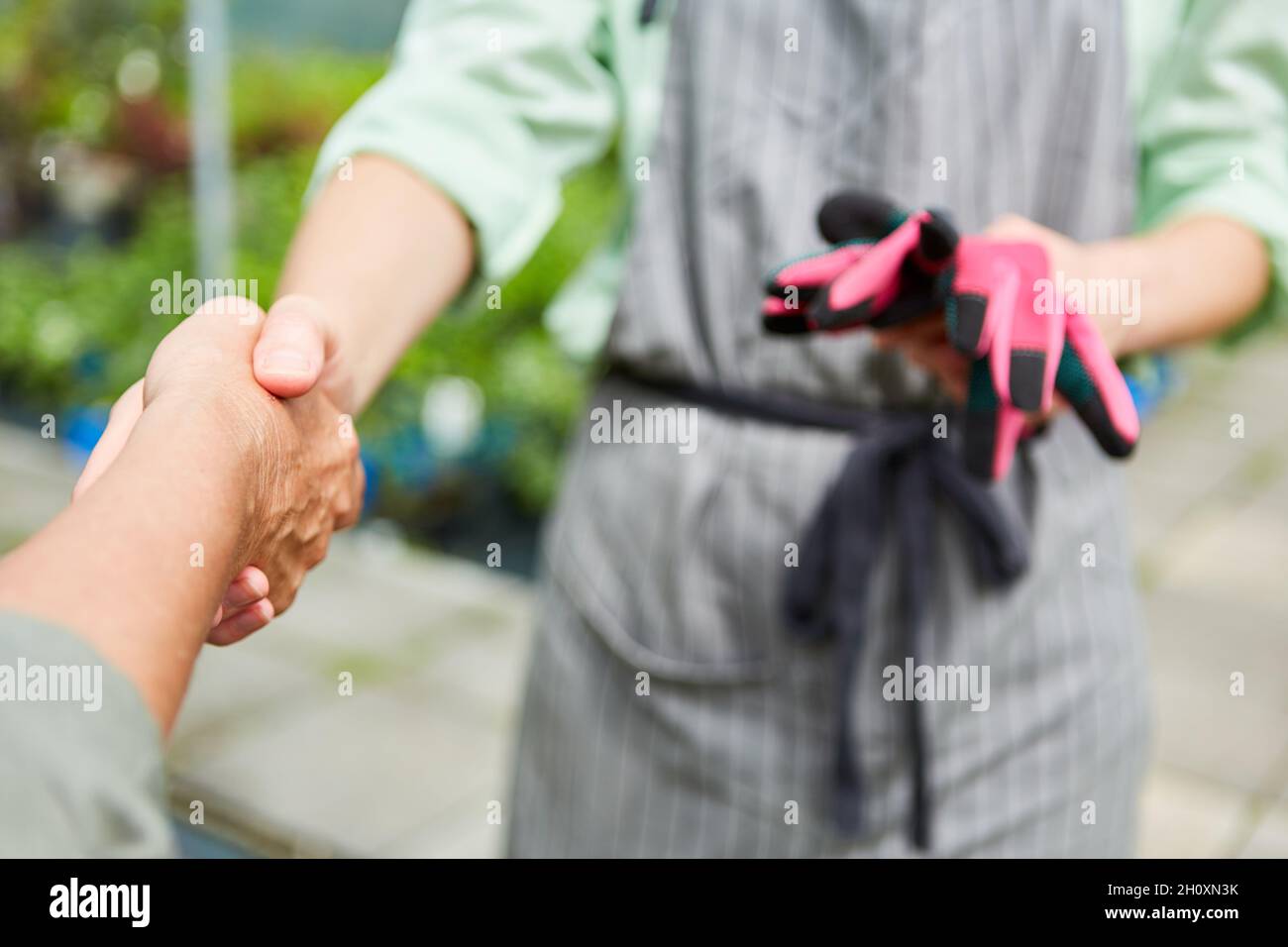 Two people handshake as a symbol for greeting or an agreement Stock ...
