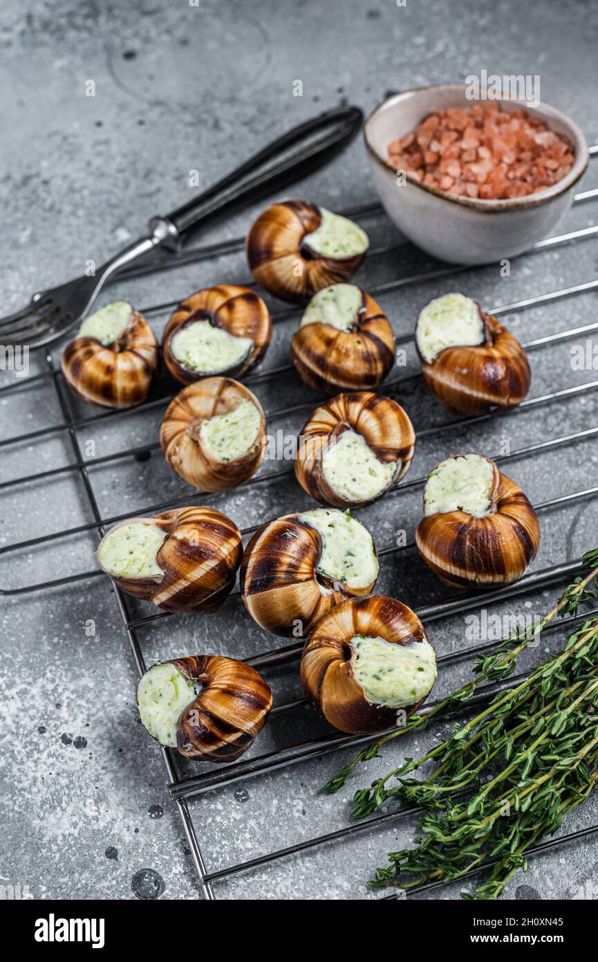 Bourgogne Escargot Snails with garlic butter on a grill. Gray ...