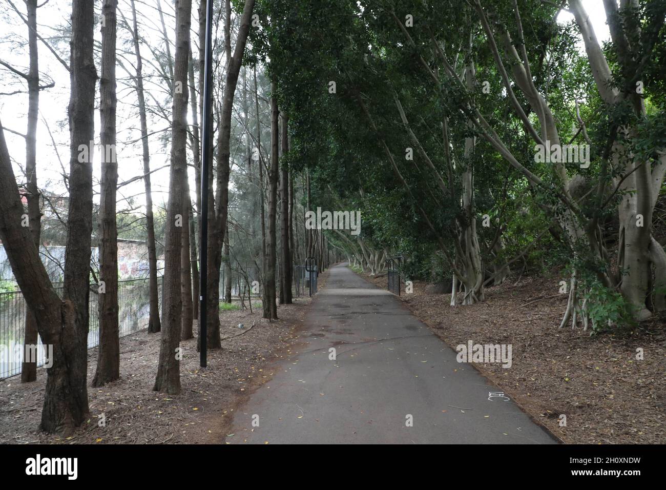 Greenway Cycle path next to the Hawthorne Canal, Leichhardt, Sydney ...