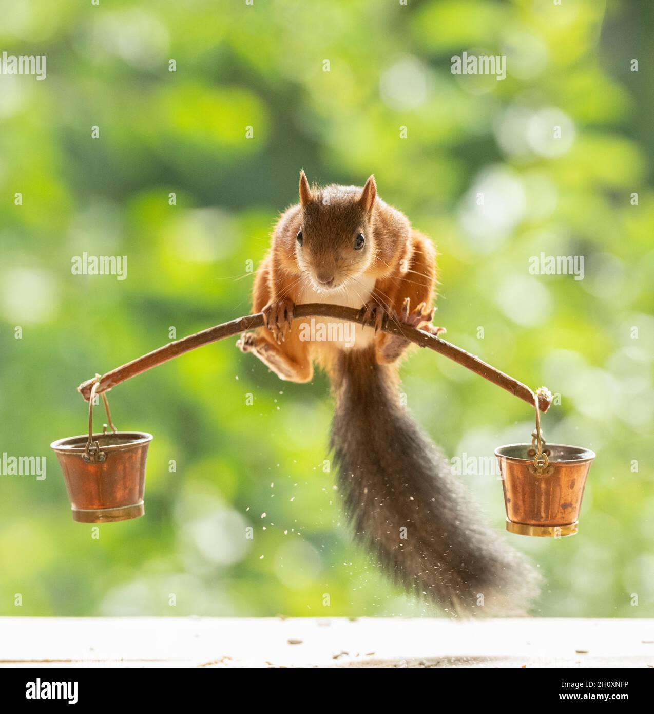 Water buckets hi-res stock photography and images - Alamy