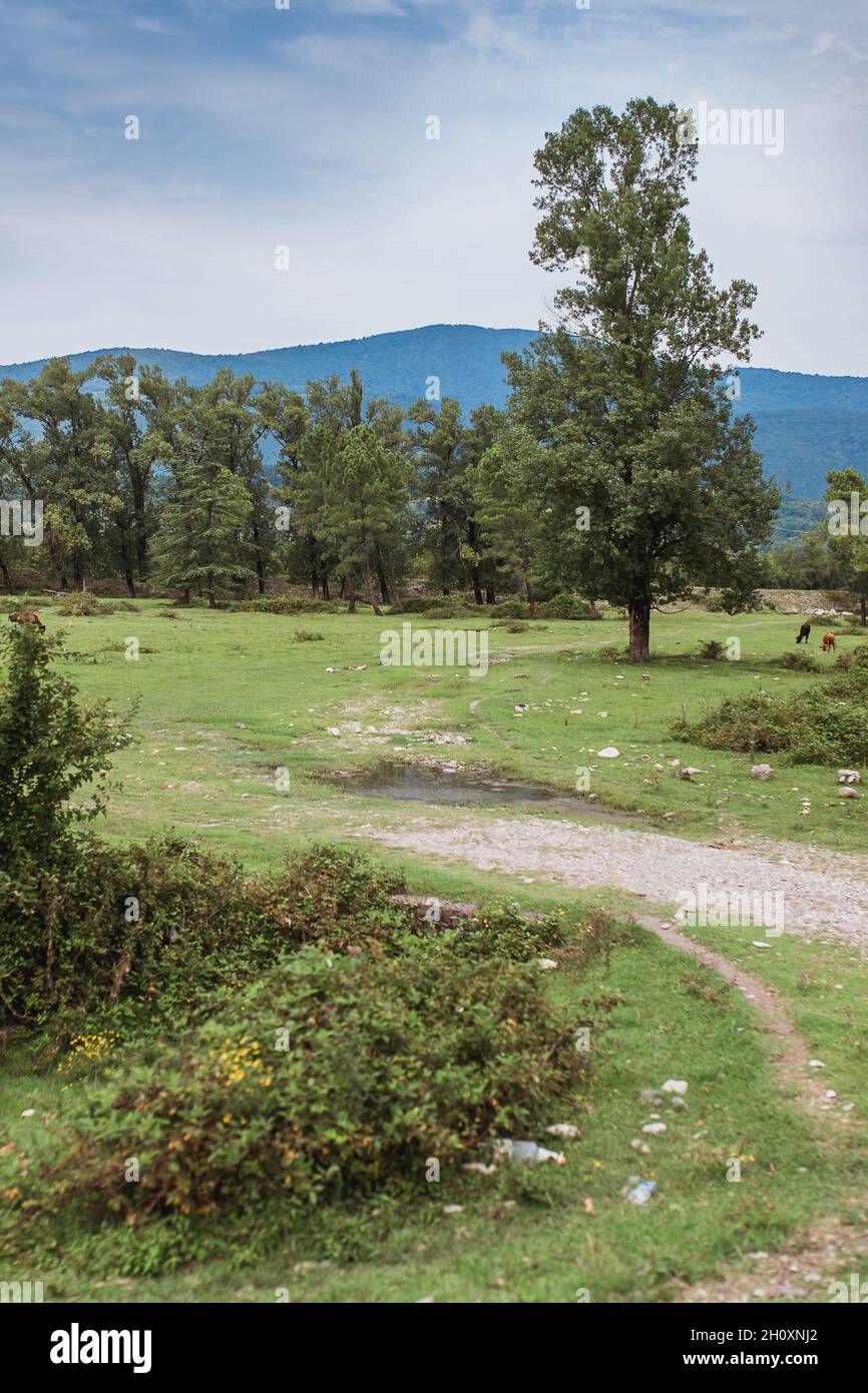 Mountain road and trails in the mountains of Georgia - a pleasant walk ...