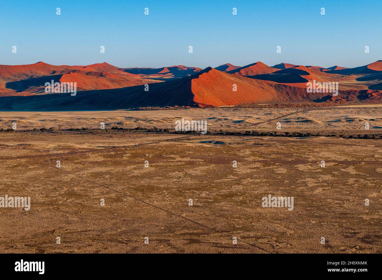 An aerial view of red sand dunes in the Namib desert. Namib Naukluft ...