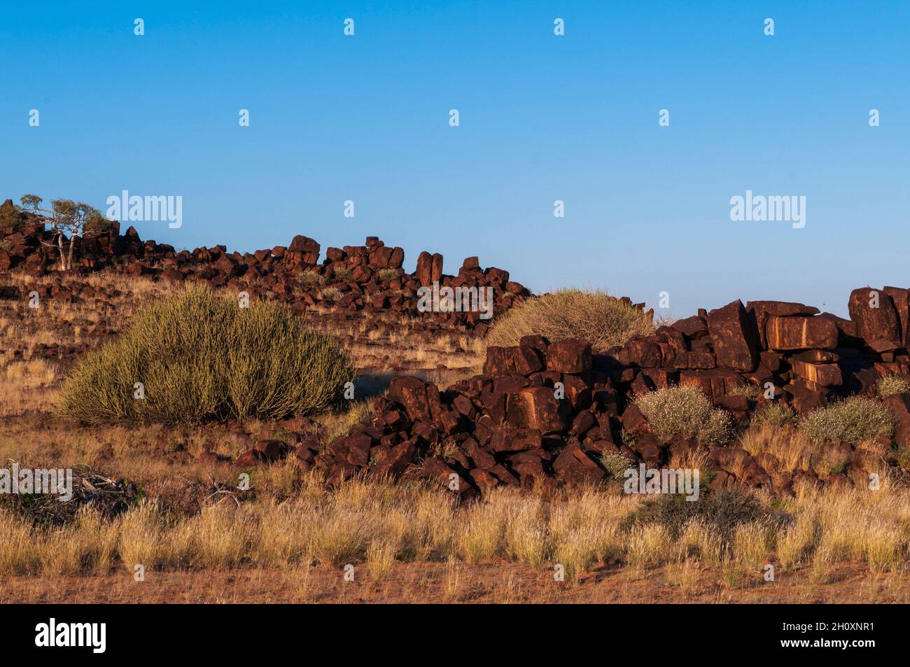 Rocks and grasslands in the Kunene Region. Kunene Region, Namibia Stock ...