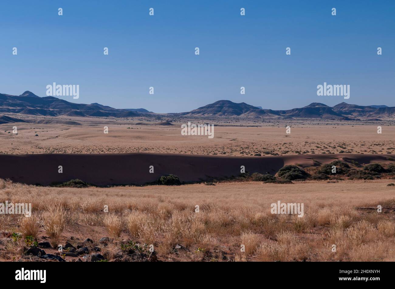 Grasslands, desert, and mountains in Damaraland. Damaraland, Kunene ...