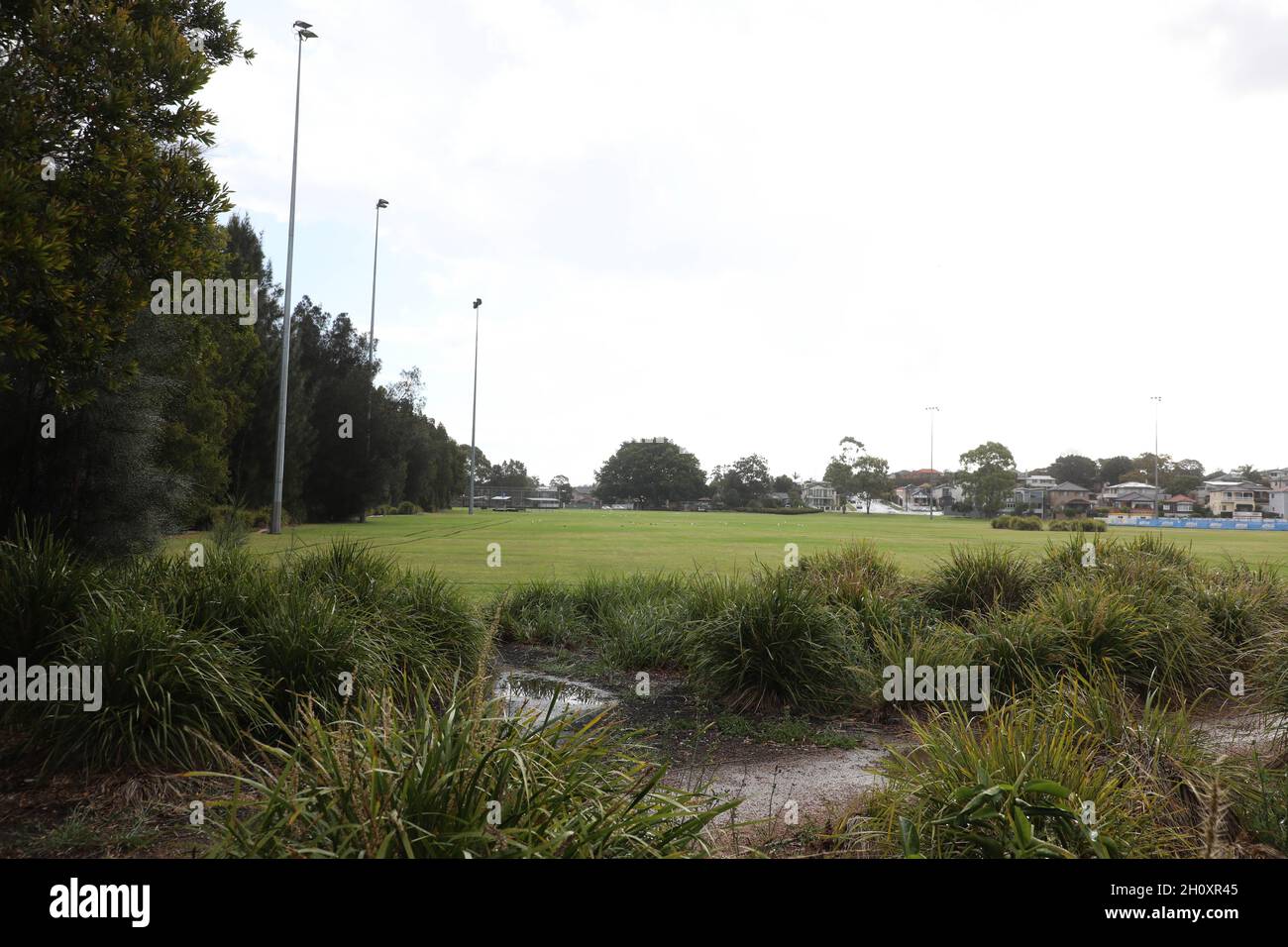 Timbrell park hi-res stock photography and images - Alamy