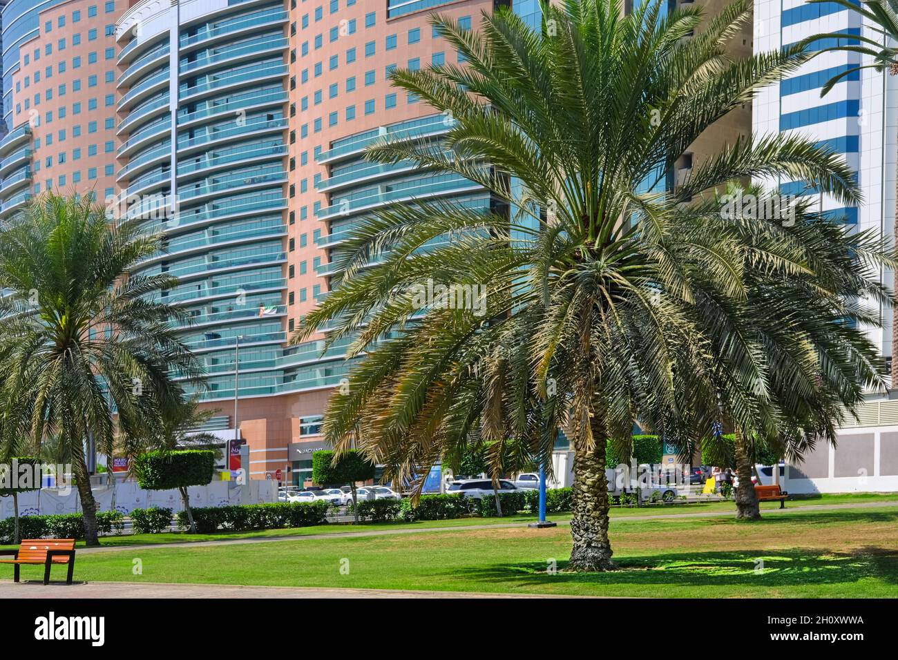Cityscape with landscaped Green public park with palm tree against ...