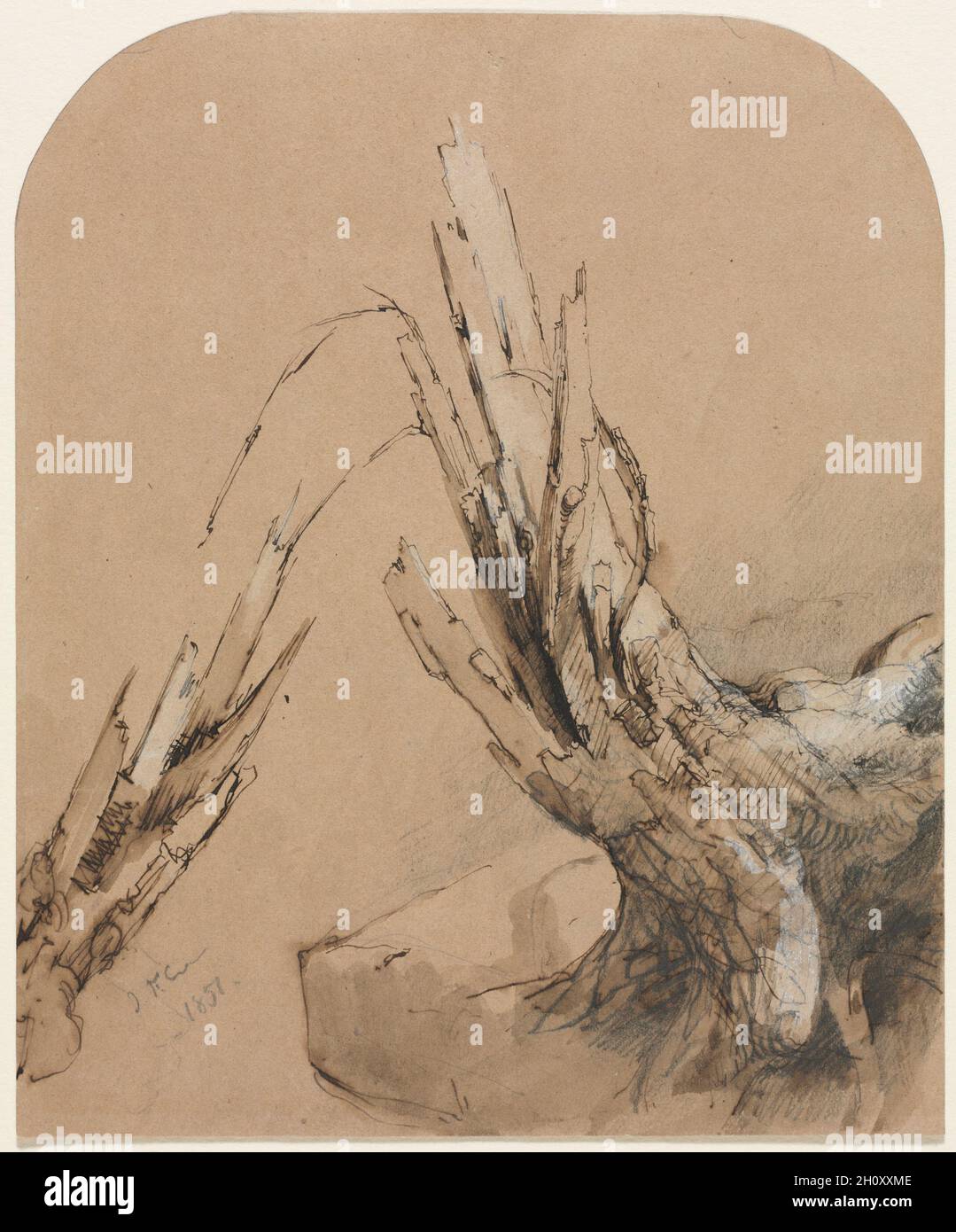 A Blasted Tree (recto) Floorplan (verso) , 1851. Jasper F. Cropsey ...