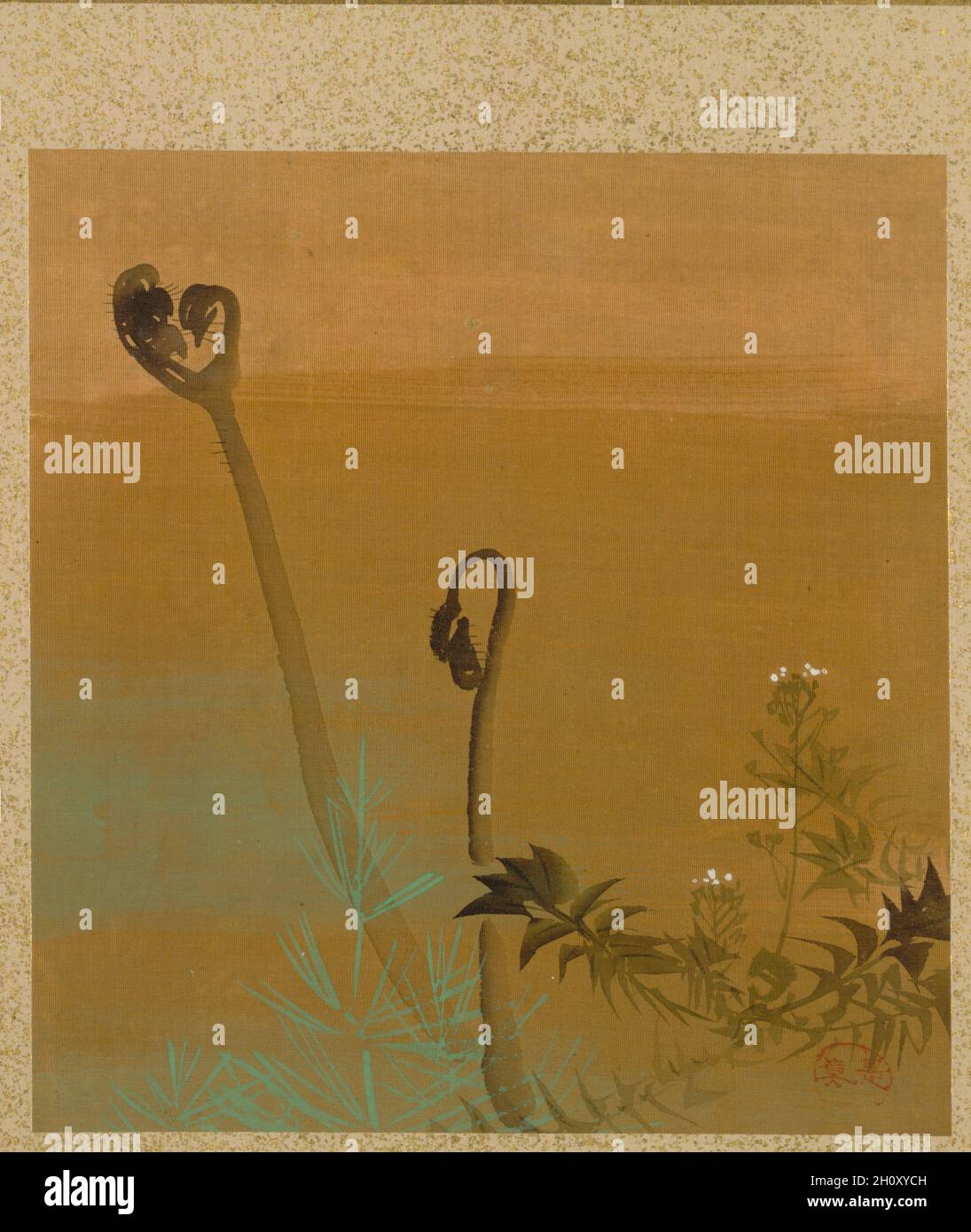 New Ferns from Album of Paintings by the Venerable Zeshin, 1847 ...