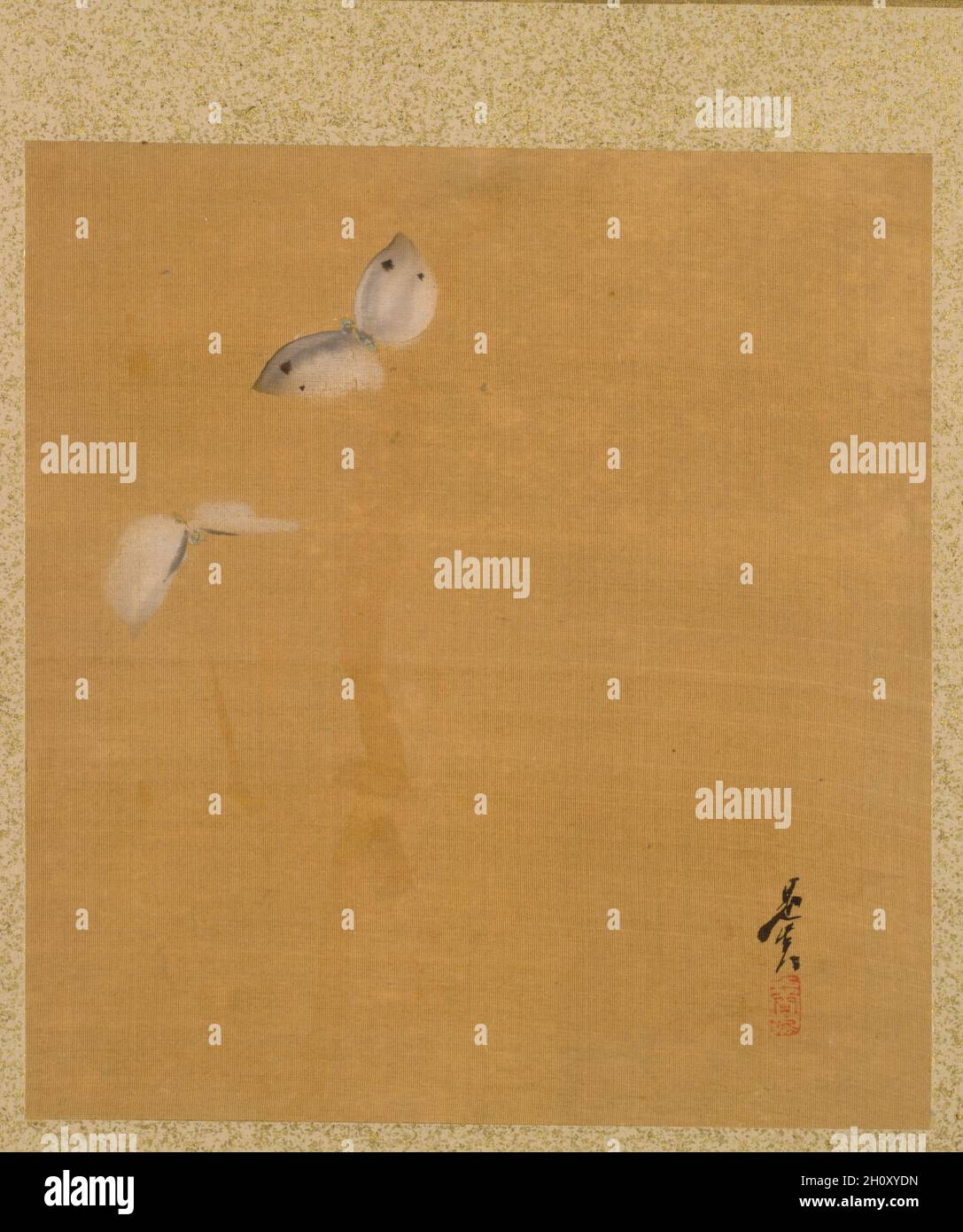 Moths from Album of Paintings by the Venerable Zeshin, 1847. Shibata ...