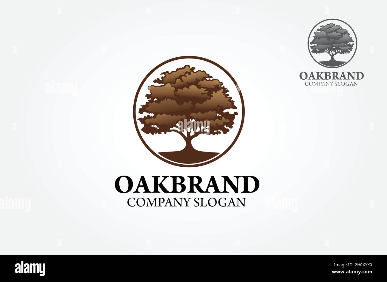 Oak Brand Vector Logo Template. Oak Silhouette of a tree, Vector logo ...