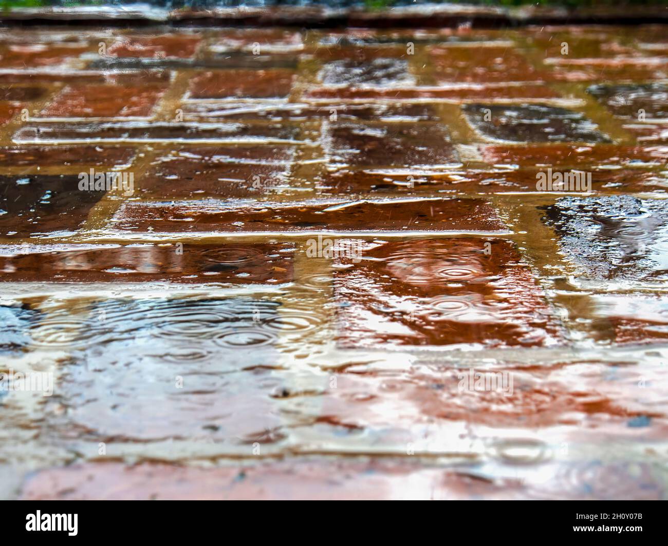 Close-up photography of rain falling on a wet ceramic floor, in a ...