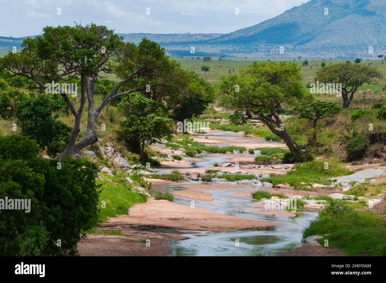 Talek hi-res stock photography and images - Alamy