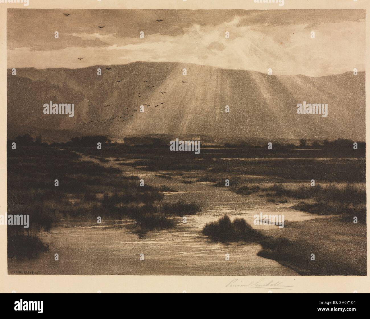 20 7 22 5 10 9 cm hi-res stock photography and images - Alamy