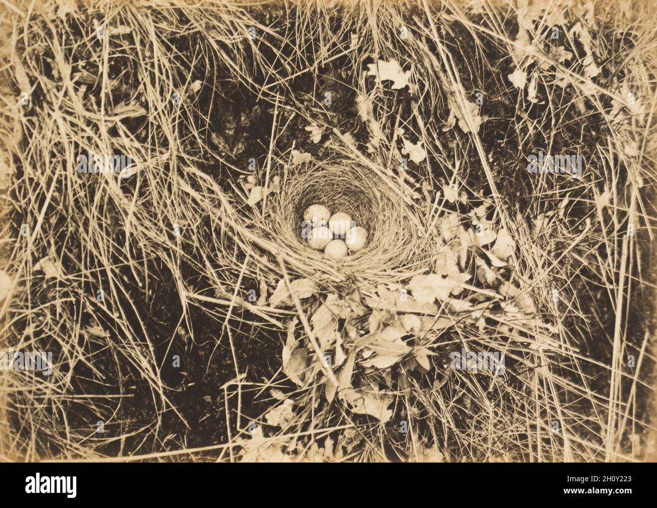 Richard tepe hi-res stock photography and images - Alamy