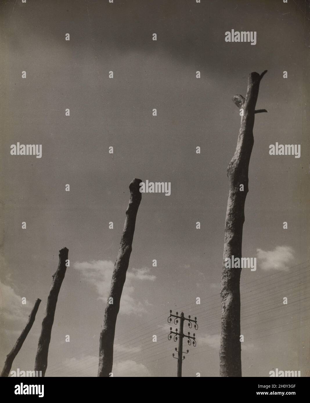 Ferrotyped hi-res stock photography and images - Alamy