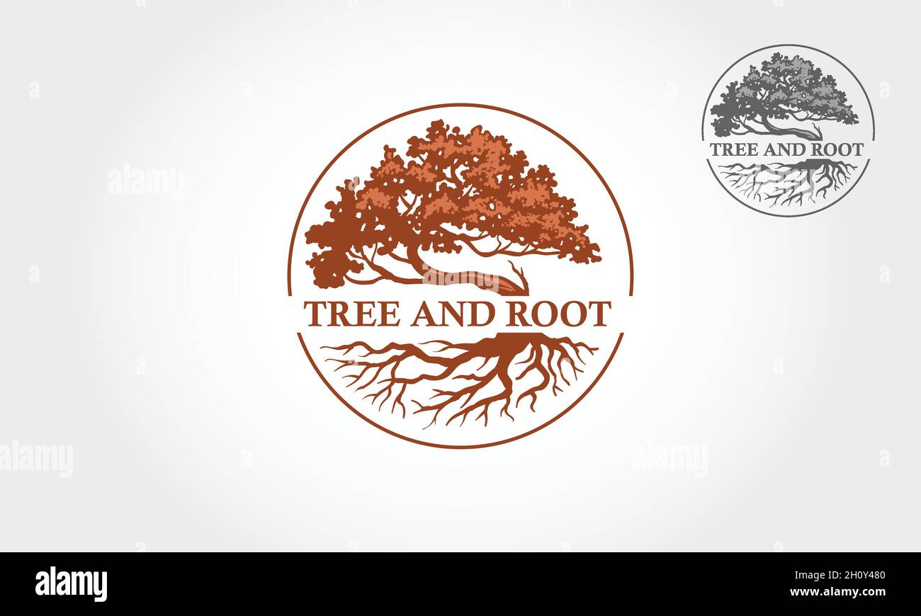 Tree And Root Vector Logo Illustration. Vector silhouette of a tree ...