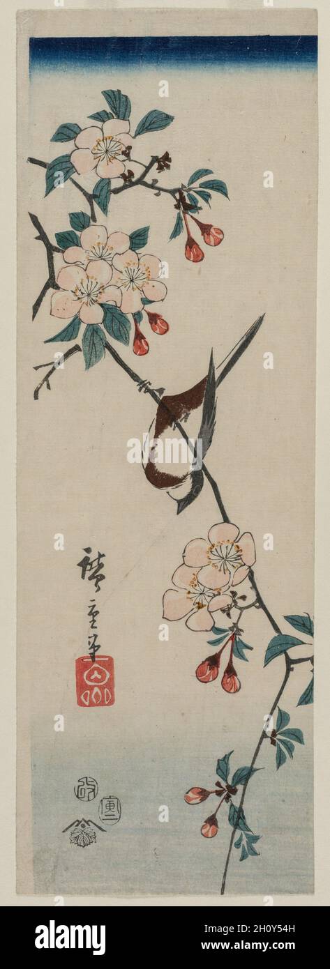 Japanese swallow hi-res stock photography and images - Alamy